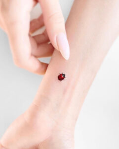 Ladybug Tattoo Ideas for Women - Mom's Got the Stuff