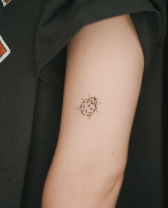 Ladybug Tattoo Ideas for Women - Mom's Got the Stuff